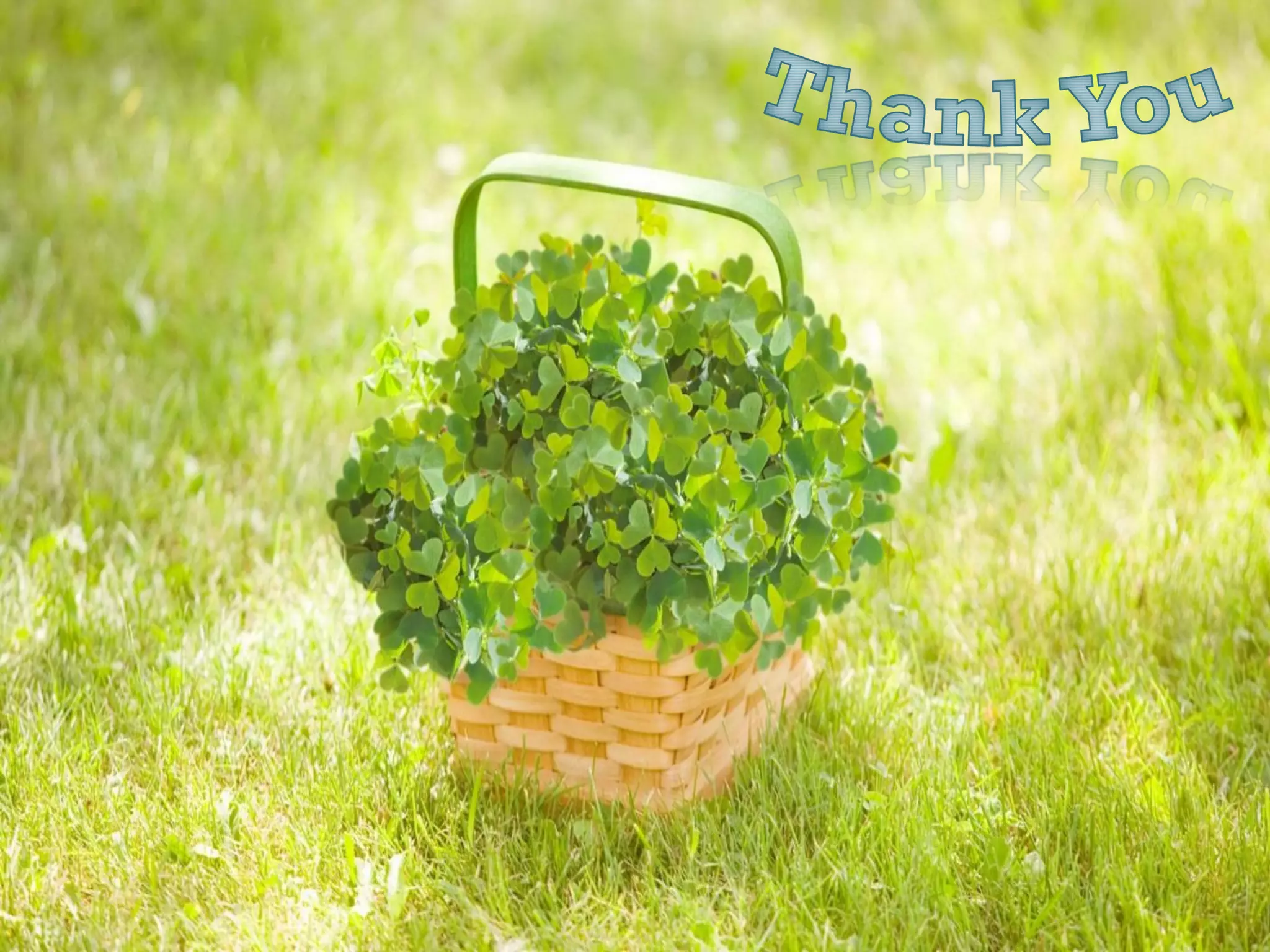 Reciprocating instruments in endodontics | PDF