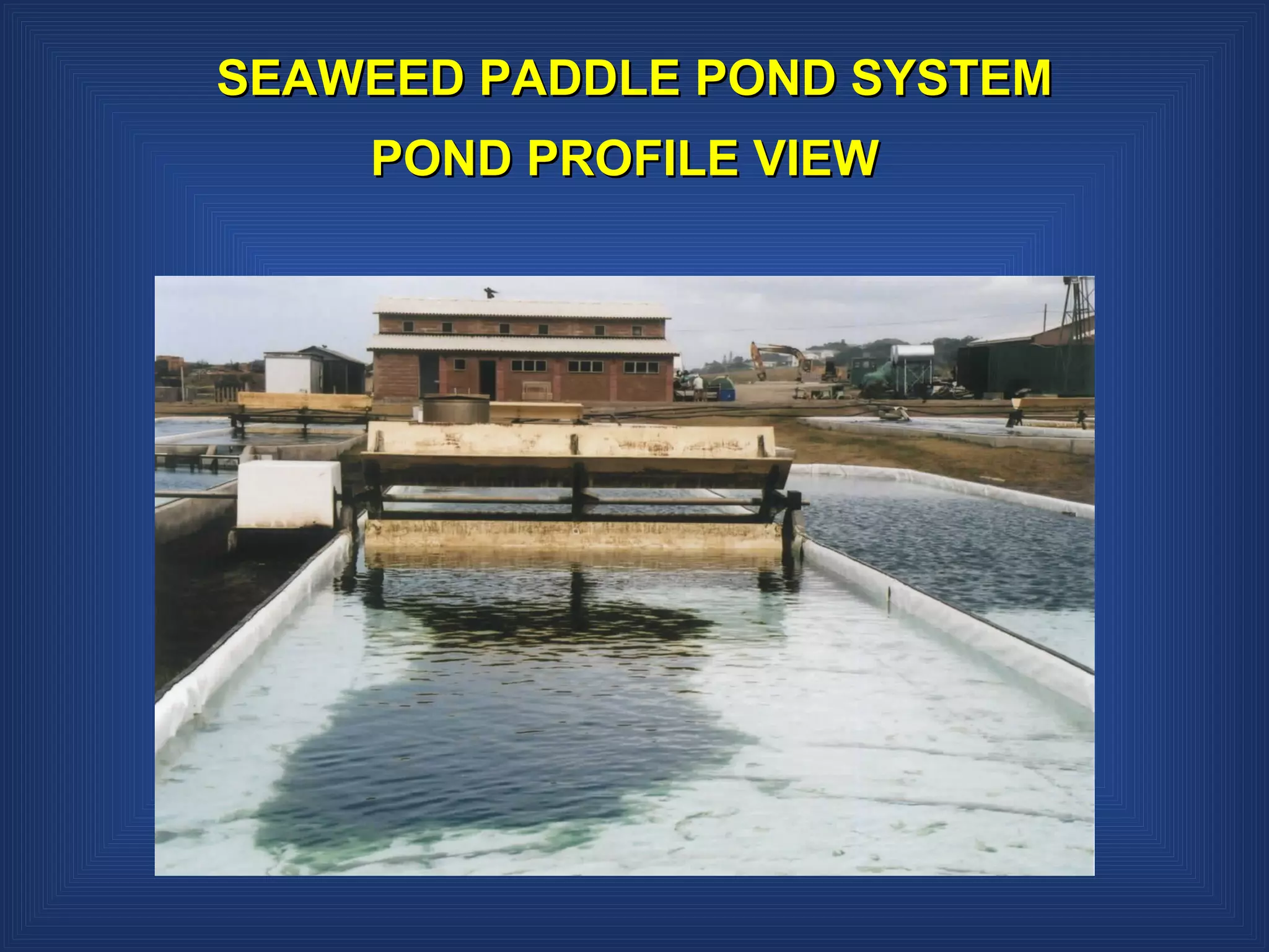 SEAWEED PADDLE POND SYSTEMS | PPT