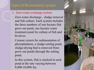 Recirculation in fish | PPTX