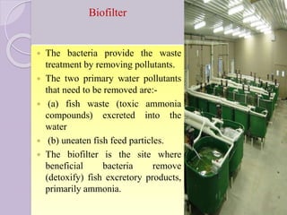 Recirculation in fish | PPTX