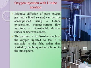 Recirculation in fish | PPTX