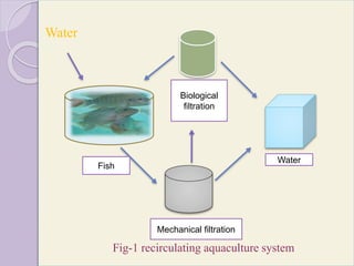 Recirculation in fish | PPTX