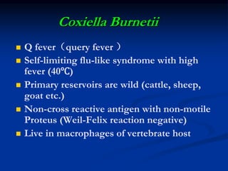 Reckettsia dr.ihsan alsaimary | PPT