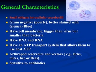 Reckettsia dr.ihsan alsaimary | PPT
