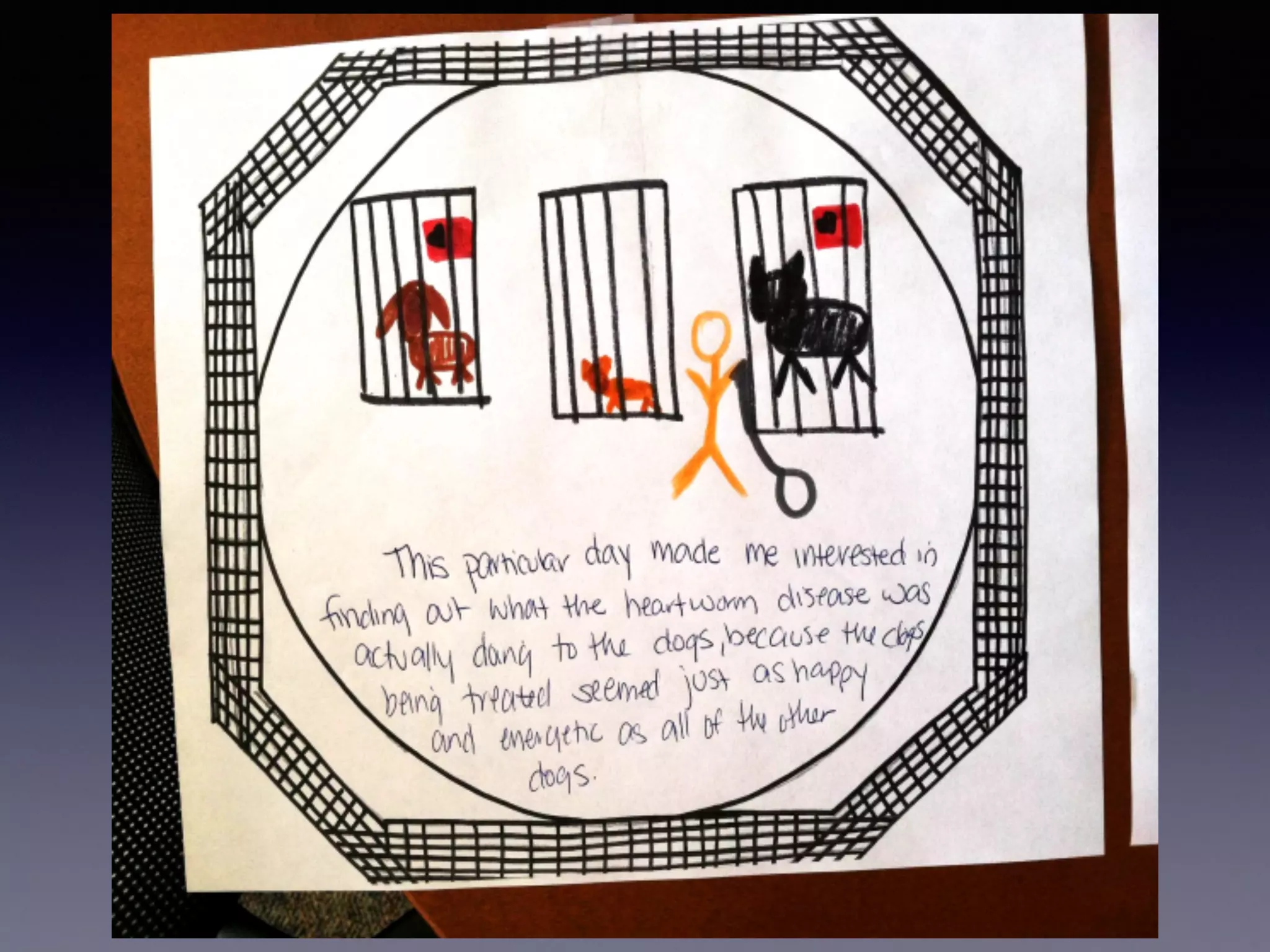 Reclaiming and Reimagining Assessment | PDF