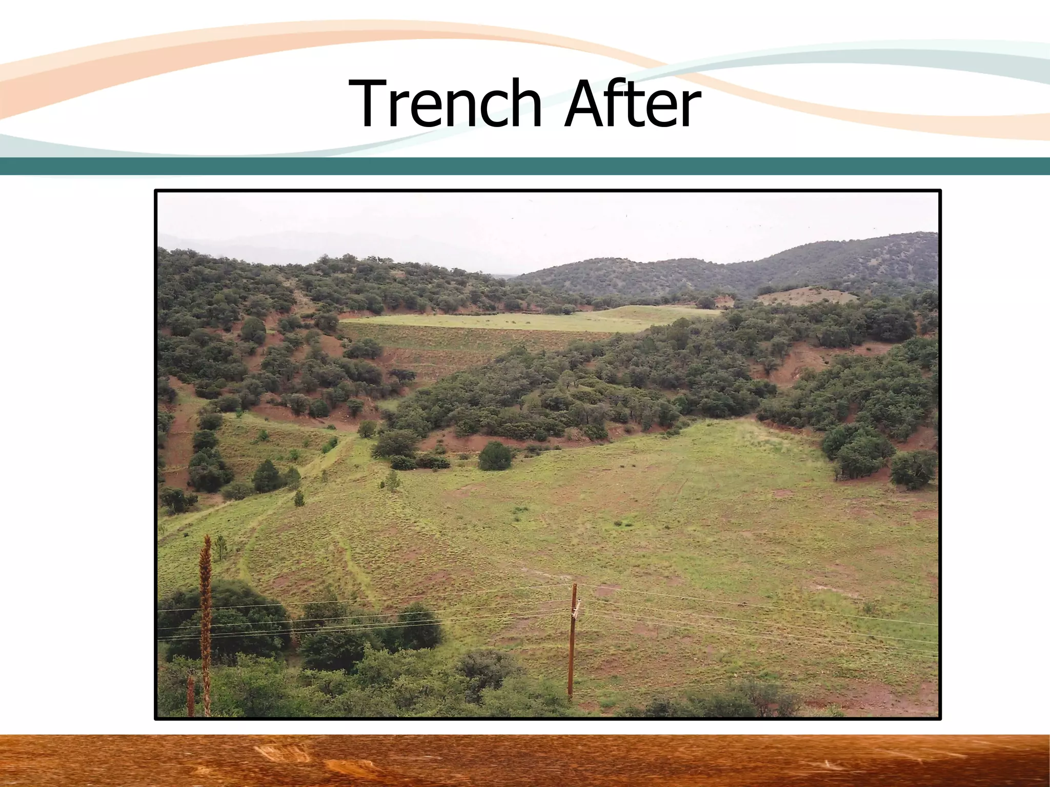 Reclamation Examples - Before and After | PDF