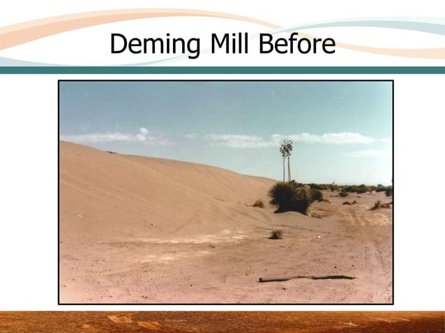 Reclamation Examples - Before and After | PDF | Geology | Science
