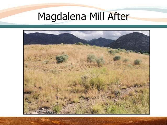 Reclamation Examples - Before and After | PDF | Geology | Science