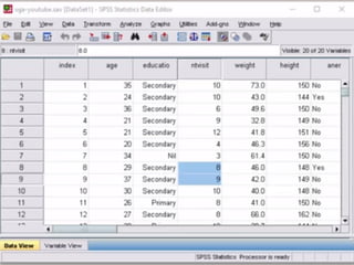 How to Compute & Recode SPSS Data | PDF