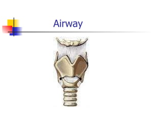 Recognition And Management Of Difficult Airway | PPT