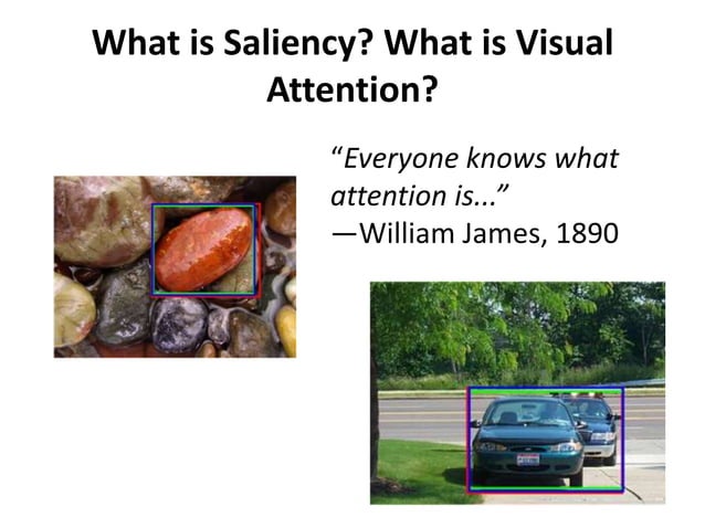 Visual Saliency: Learning to Detect Salient Objects | PPT