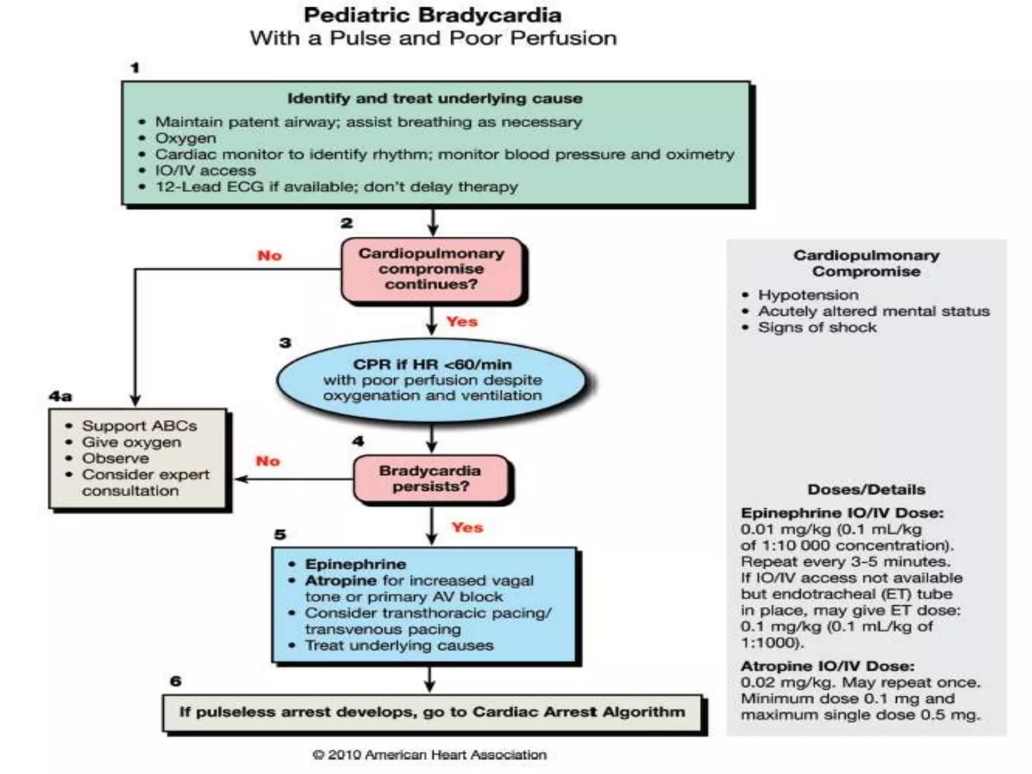 Recognition & management of bradycardia pediatrics AG | PPTX