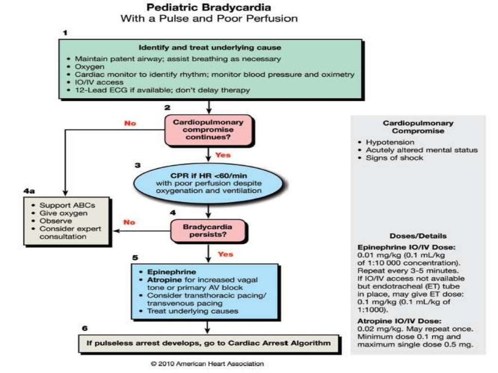 Recognition & management of bradycardia pediatrics AG