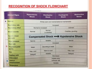 Recognition of shock | PPT