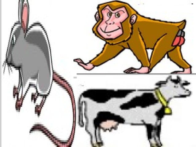 Recognize_identify and classify transportation sound as loud and soft ...