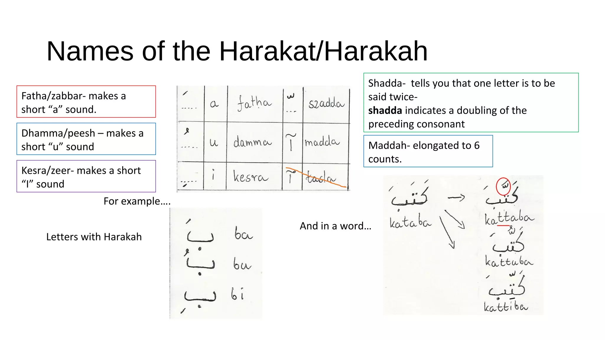 Recognizing Arabic Letters | ODP