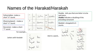 Recognizing Arabic Letters | ODP
