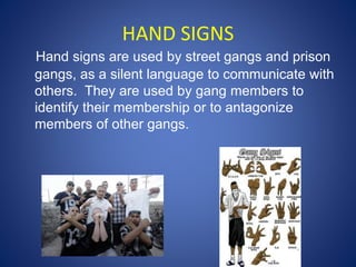 Recognizing gang affiliation | PPTX