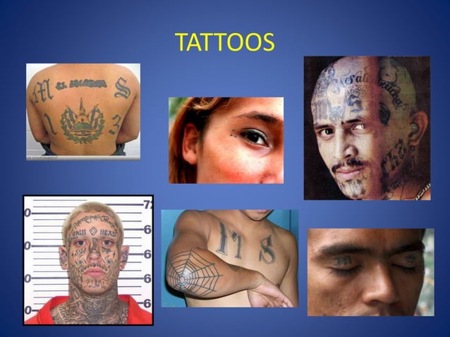 Recognizing gang affiliation | PPTX