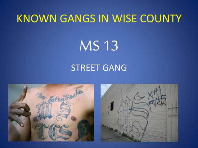Recognizing gang affiliation | PPTX