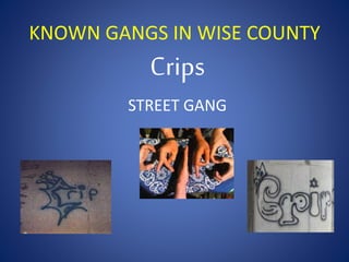 Recognizing gang affiliation | PPTX