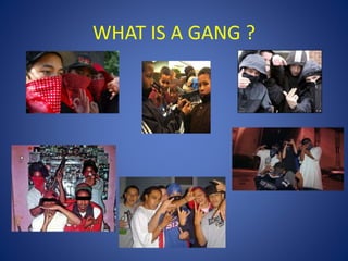 Recognizing gang affiliation | PPTX