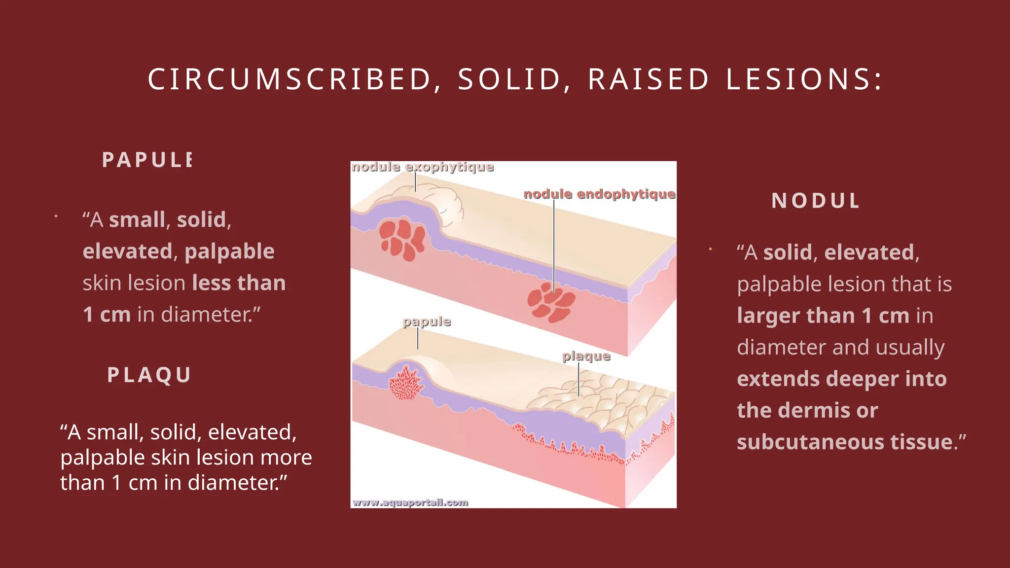 Recognizing Skin Lesions, first step in diagnosis | PPTX