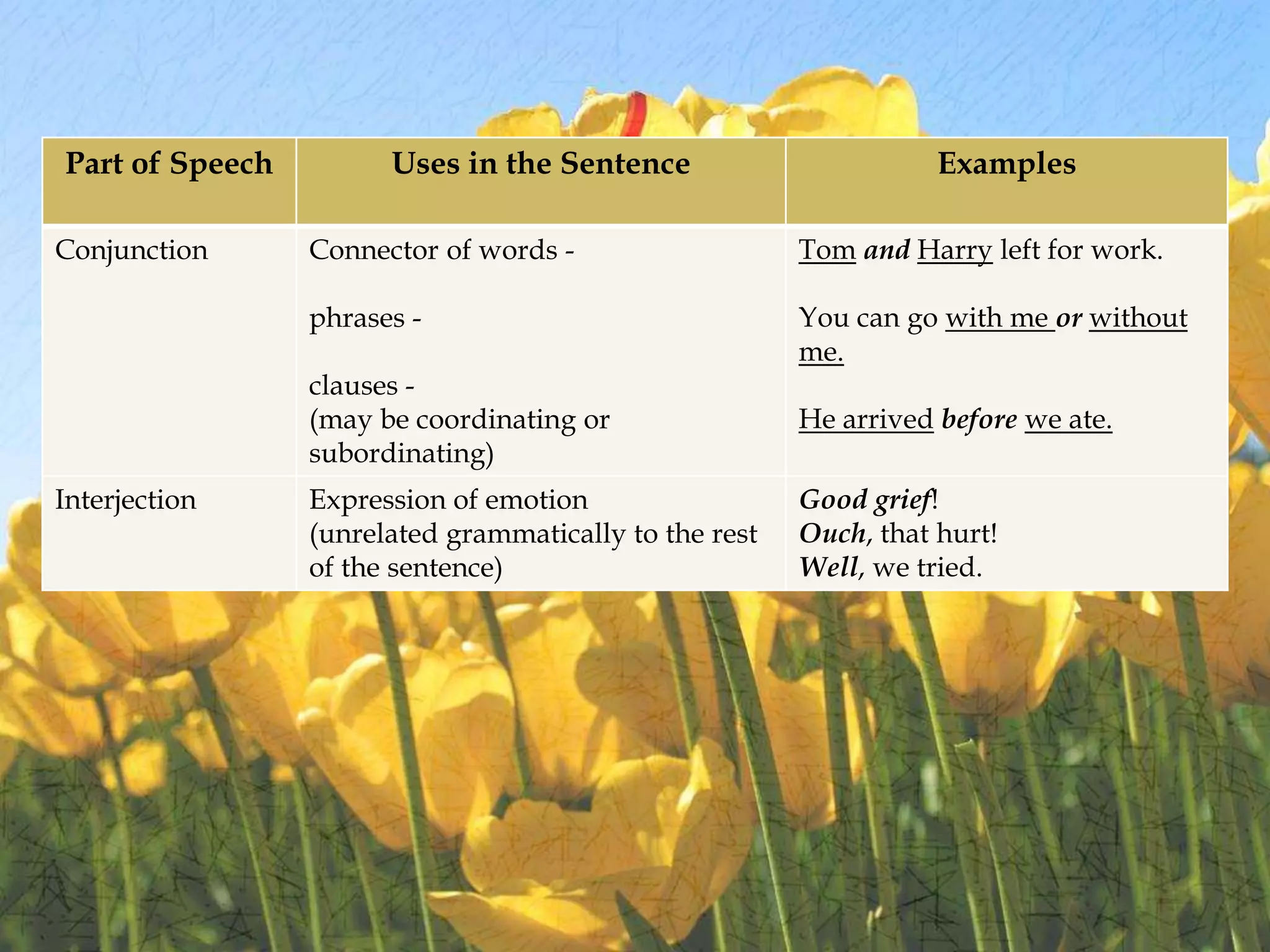 Recognizing the parts of speech | PPTX