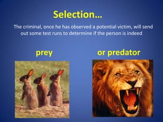 Understanding How the Criminal Picks a Victim | PPTX