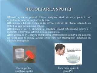 RECOLTAREA EXUDATULUI FARINGIAN, SPUTEI, SECRETIILOR PURULENTE ȘI ...