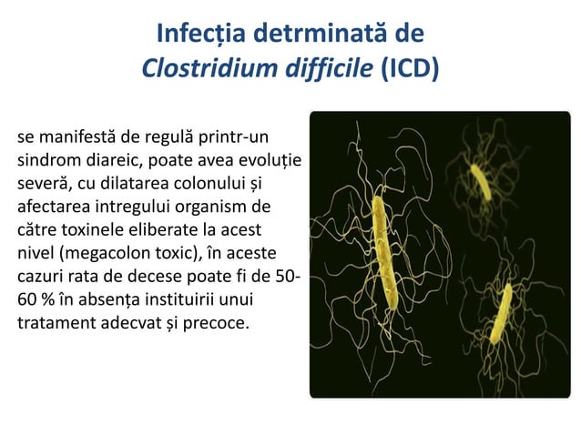 Recoltarea probelor clostridium difficile | PPT