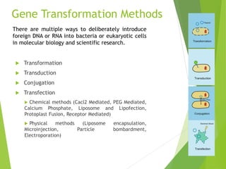 Recombinanant dna technology | PPT