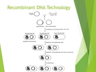Recombinanant dna technology | PPT