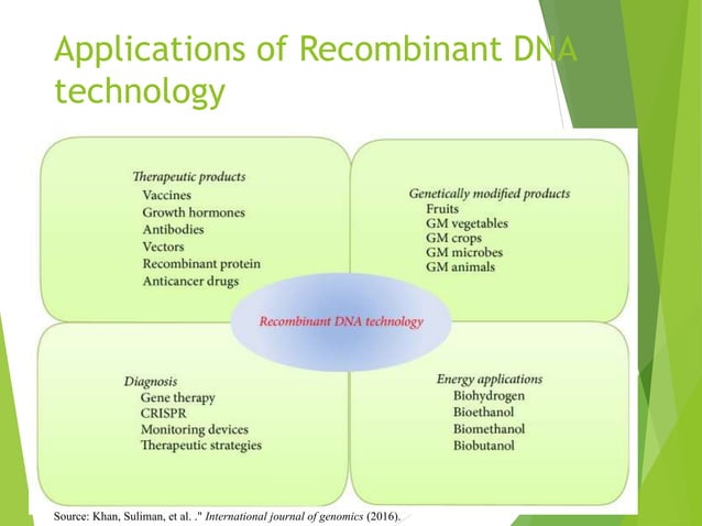 Recombinanant dna technology | PPT
