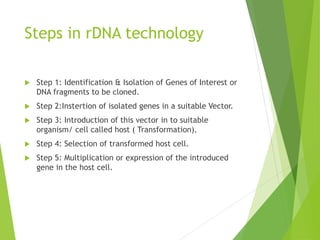 Recombinanant dna technology | PPT