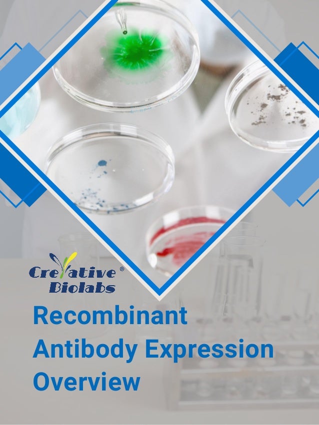 Non-GMP Antibody Production | PDF