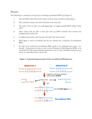 Recombinant dna | PDF