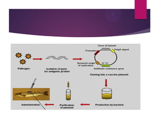 Recombinant-DNA-Technology. definition and methods | PDF