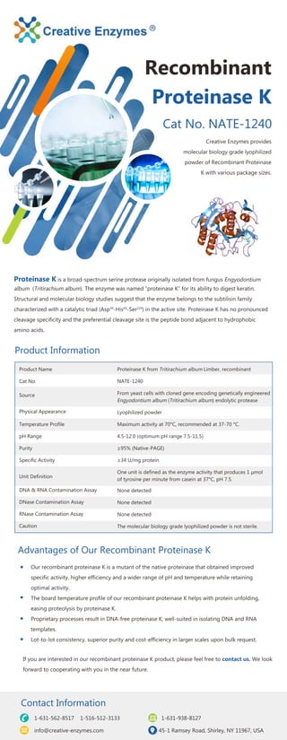 Molecular biology grade lyophilized powder of Recombinant Proteinase K | PDF