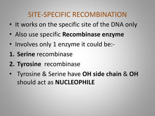 Recombinant and Repair.pptx