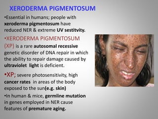 Recombinant and Repair.pptx