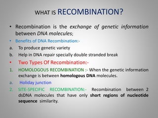 Recombinant and Repair.pptx