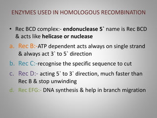 Recombinant and Repair.pptx