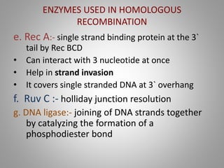 Recombinant and Repair.pptx