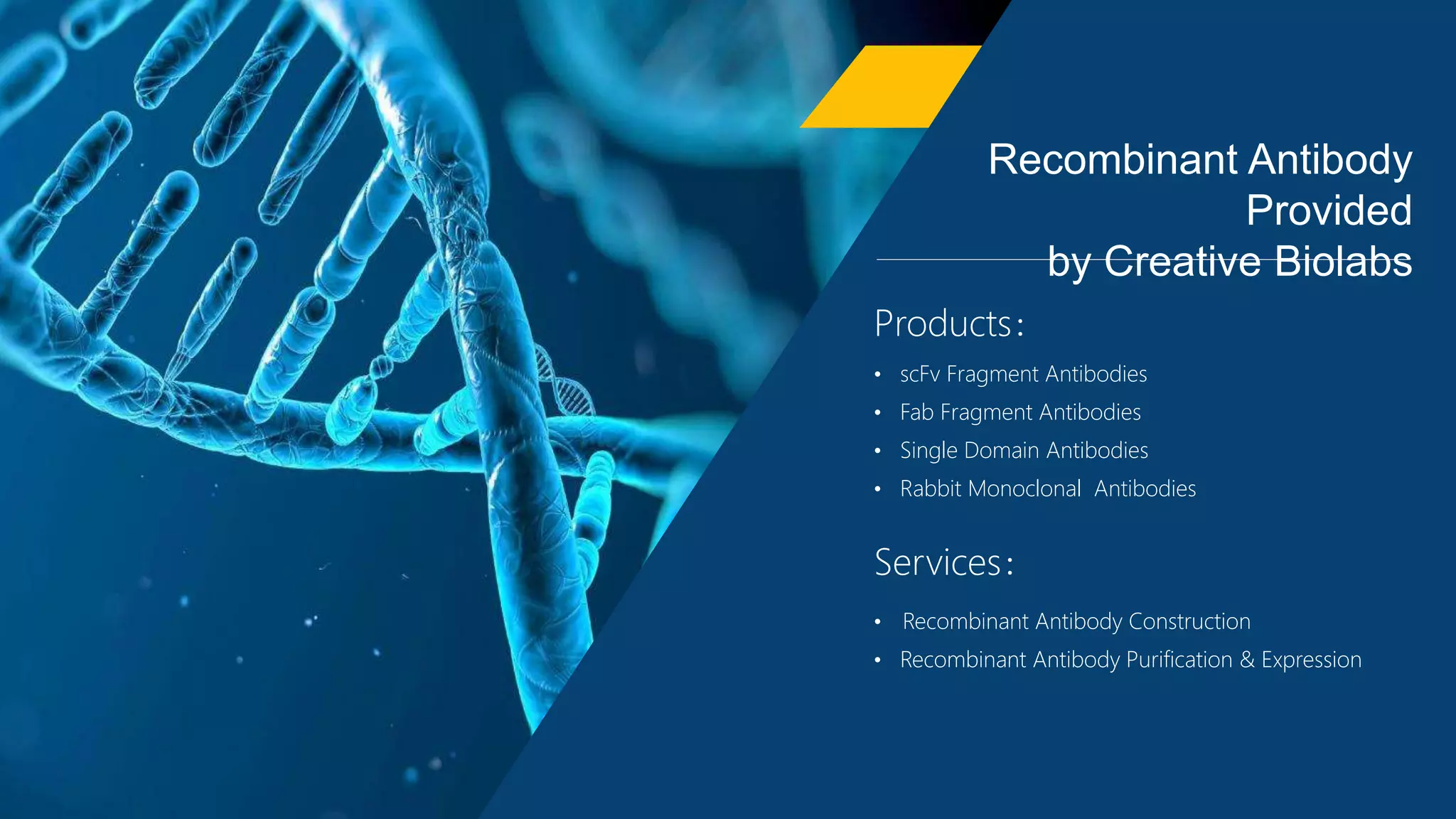 Introduction of Recombinant Antibody | PPTX