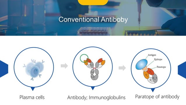 Introduction of Recombinant Antibody | PPTX