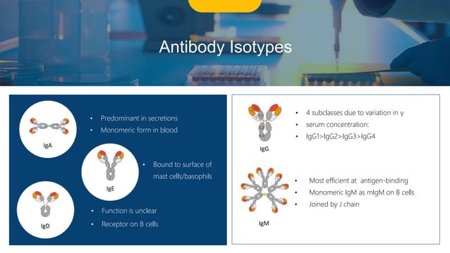 Introduction of Recombinant Antibody | PPTX