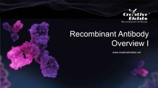 Recombinant Antibody Overview I - Creative Biolabs | PPTX