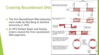 Recombinant DNA Technology | PPTX