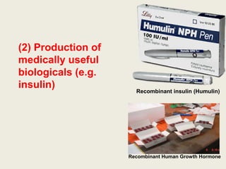 Recombinant DNA | PPT | Biotech and Biomedical Industry | Industries